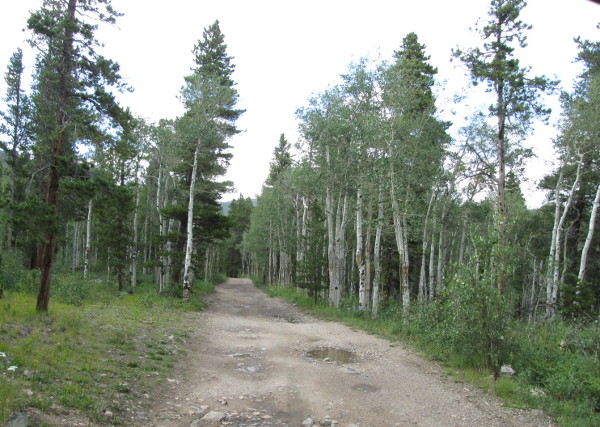 4X4Explore.com - Deadman