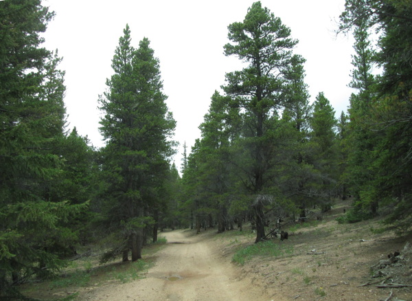 4X4Explore.com - Wahl