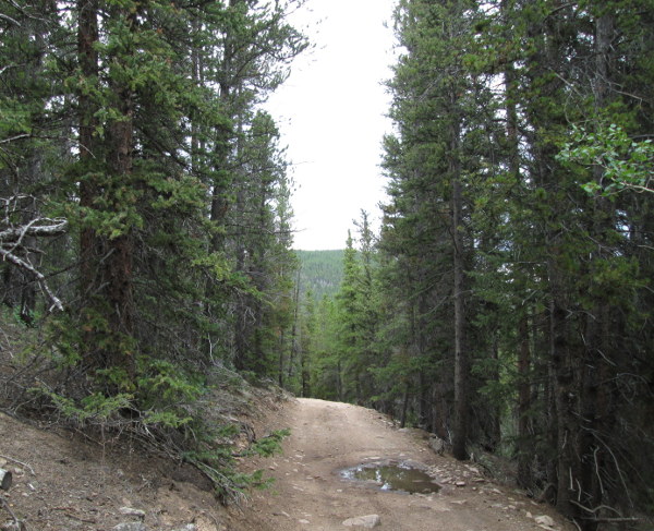 4X4Explore.com - Wahl