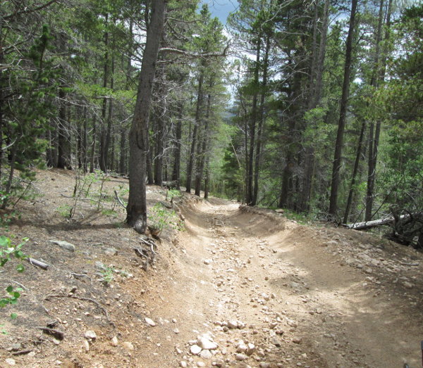 4X4Explore.com - Wahl