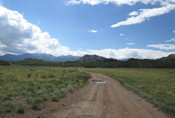 4X4Explore.com - Wahl